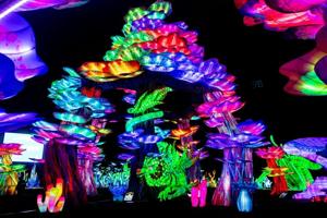 Masters of Light: Artisans from Zigong, China, Bring Centuries-Old ...