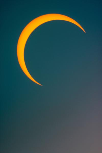 How do animals react to a solar eclipse? | News | weatherforddemocrat.com