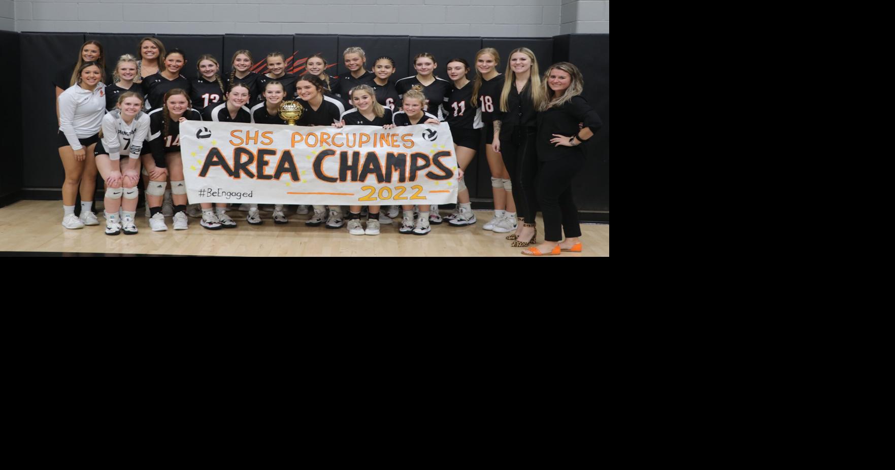 Springtown volleyball clashes with Mineral Wells to move on to the next ...