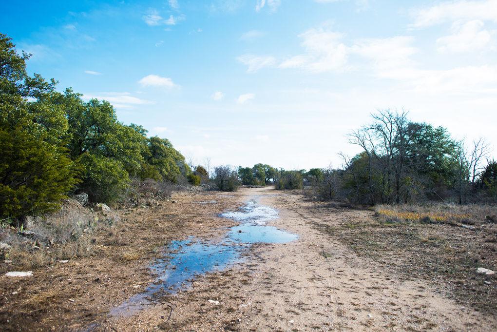 Monarch Butterfly Waystation growing in Soldier Spring Park | News ...