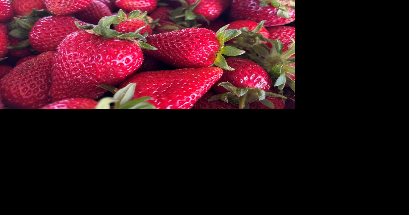 CROP & WEATHER REPORT: Strawberry season in Texas off to an excellent ...