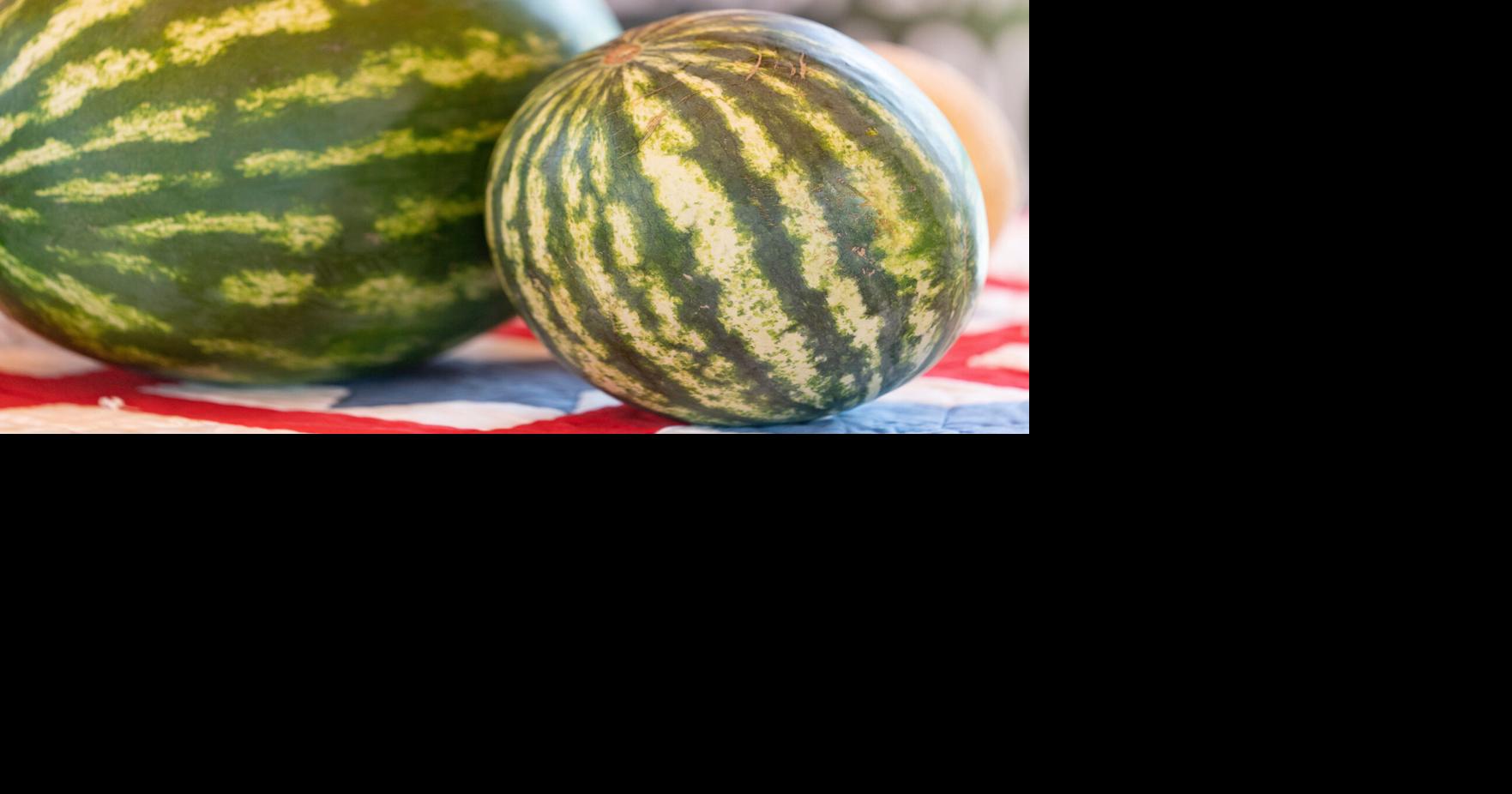Watermelon production yields up, quality down | News ...