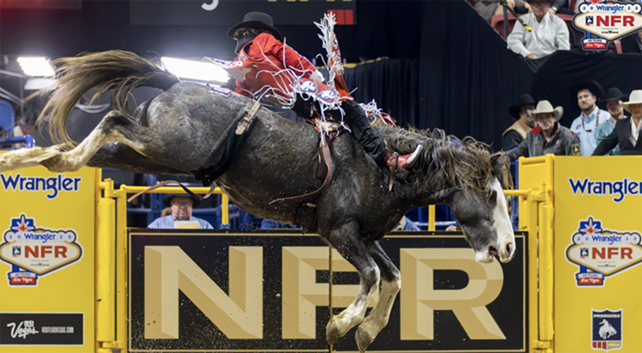 Steiner takes major step toward Gold Buckle with Round 5 win | News ...