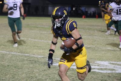 Lions take on Eagles on Homecoming night | Sports | weatherforddemocrat.com