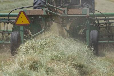 CROP & WEATHER REPORT: Hay, forage conditions improve with rainfall ...