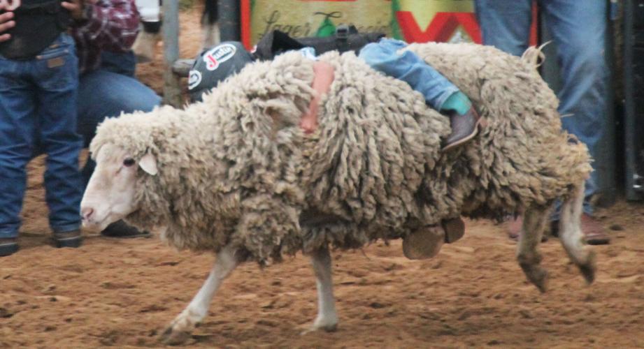 PHOTOS: 86th Annual Palo Pinto County Livestock Association Rodeo ...