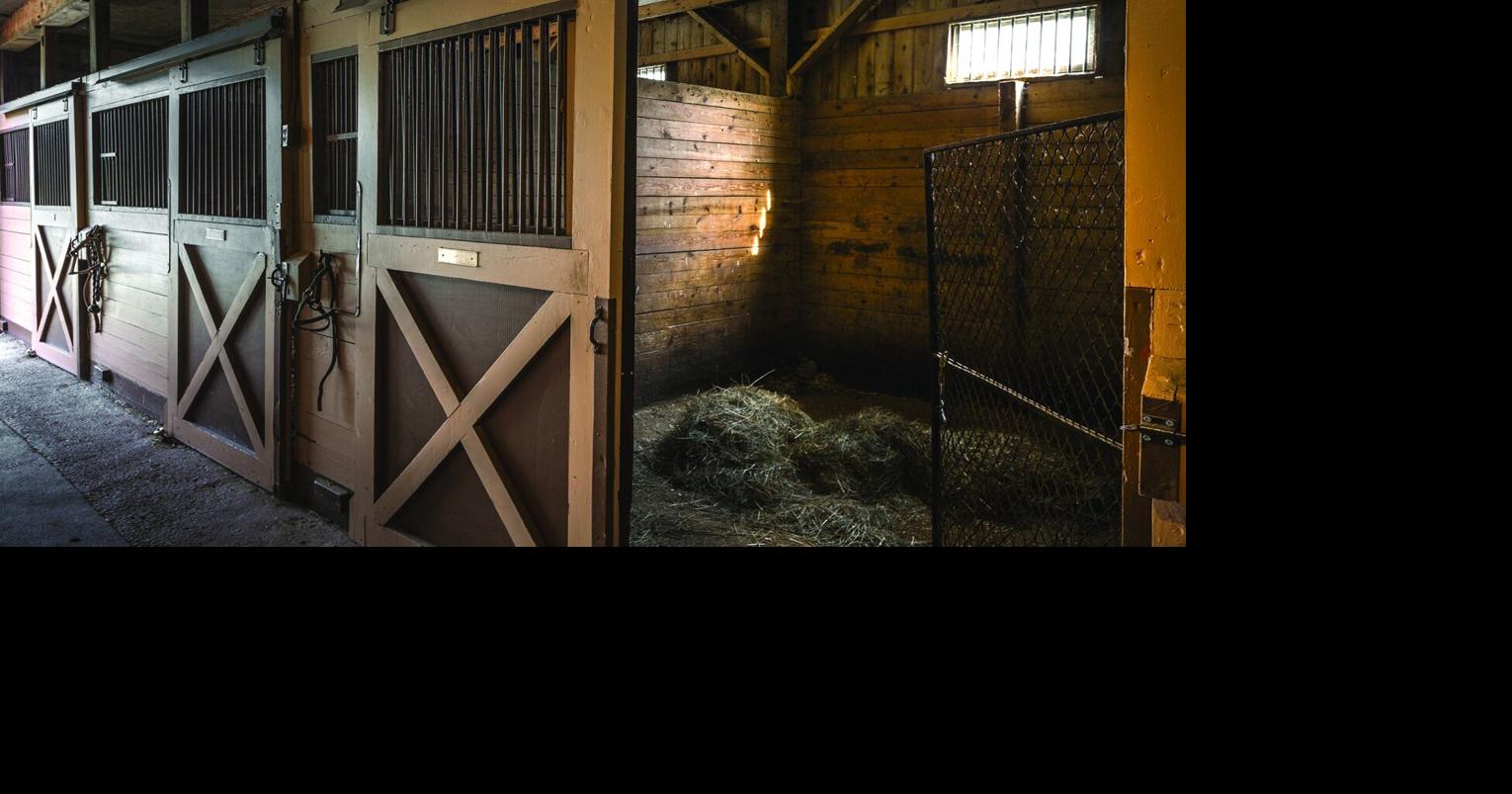 State officials confirm positive equine herpes case | News ...
