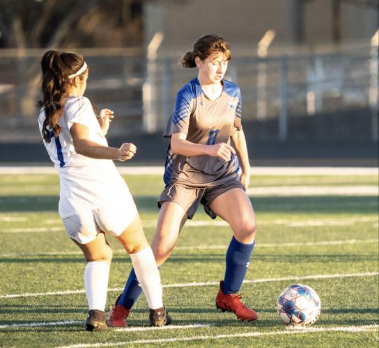 TAKING THE PITCH: Area soccer teams gearing up for district play ...