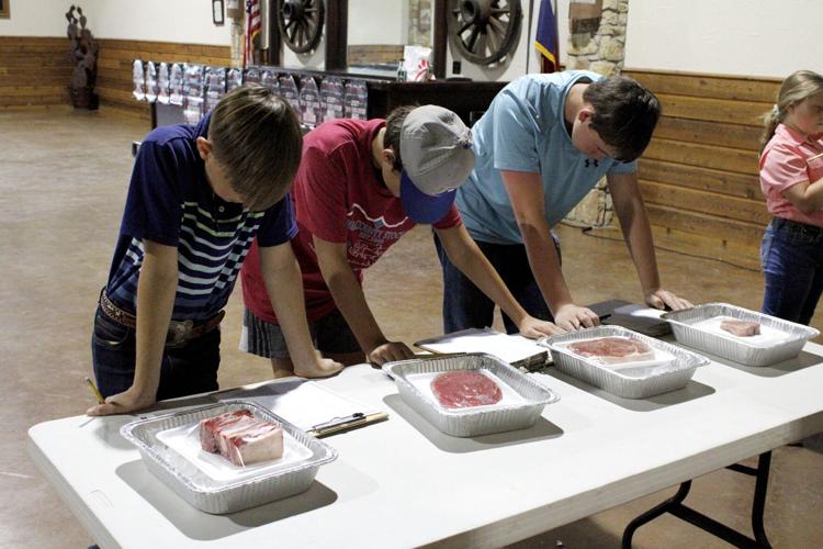 GALLERY: Livestock Show Meat Science Skillathon | Gallery ...