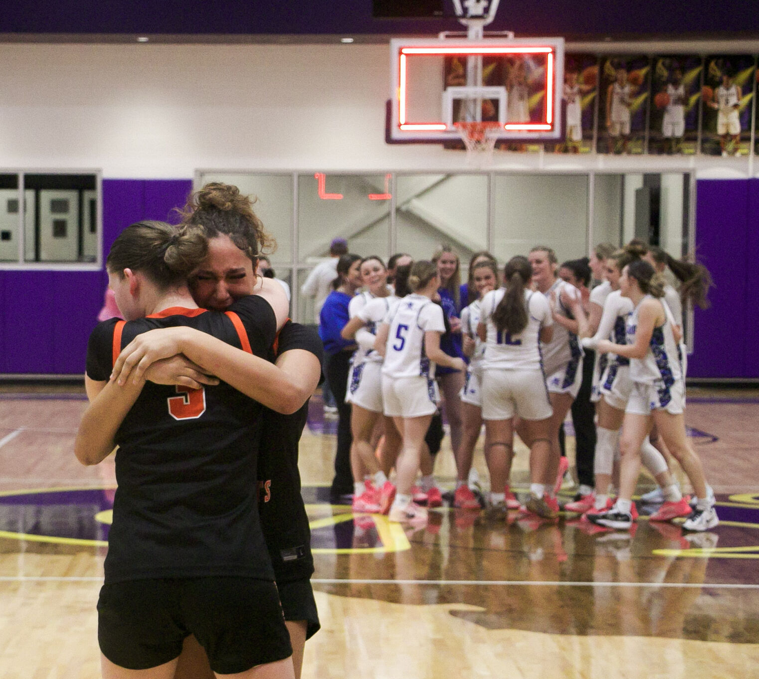 Ladycats suffer upset loss to Joshua in area round | Sports ...