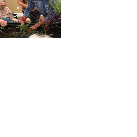 Martin Crest brings nature indoors | Local News | weatherforddemocrat.com