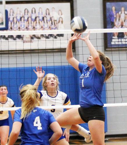 Peaster volleyball poised for strong year | Sports ...