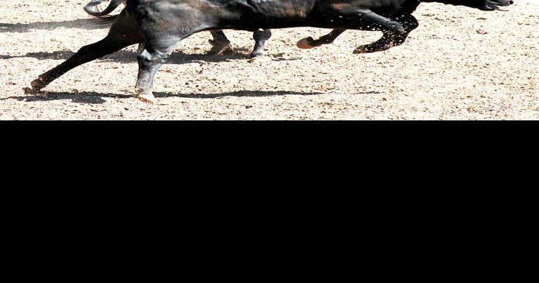 Ranch Rodeo kicks off tonight | News | weatherforddemocrat.com