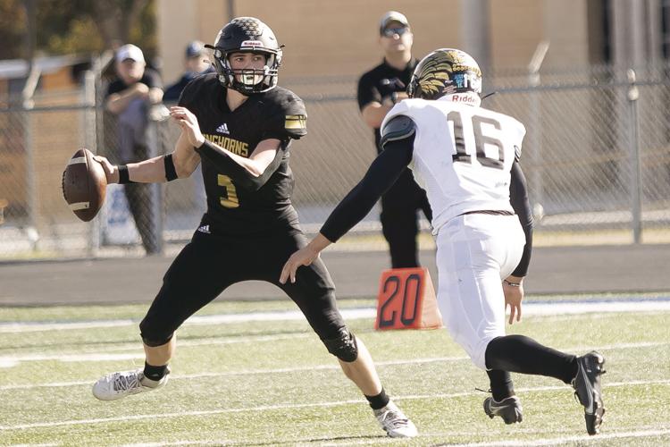 Dynamic Reed duo shoulders heavy workload for resurgent Longhorns ...