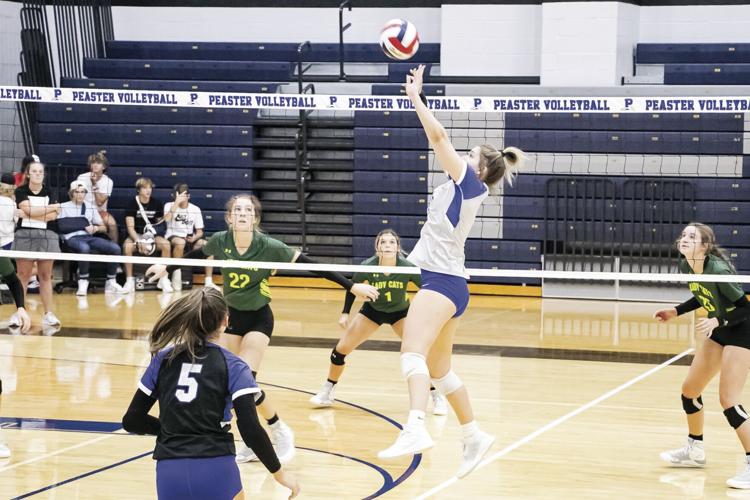 Local volleyball rolls on | Sports | weatherforddemocrat.com