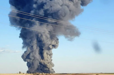 More than 18,000 cows are dead after dairy farm explosion in Texas ...