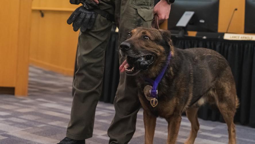 K9 Jack receives Purple Heart | News | weatherforddemocrat.com
