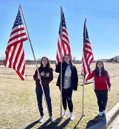 Rotary Club project to provide 'Flags Across Mineral Wells' | Local ...