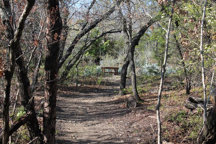 Embracing nature: Chandor trail allows native flora and fauna to ...