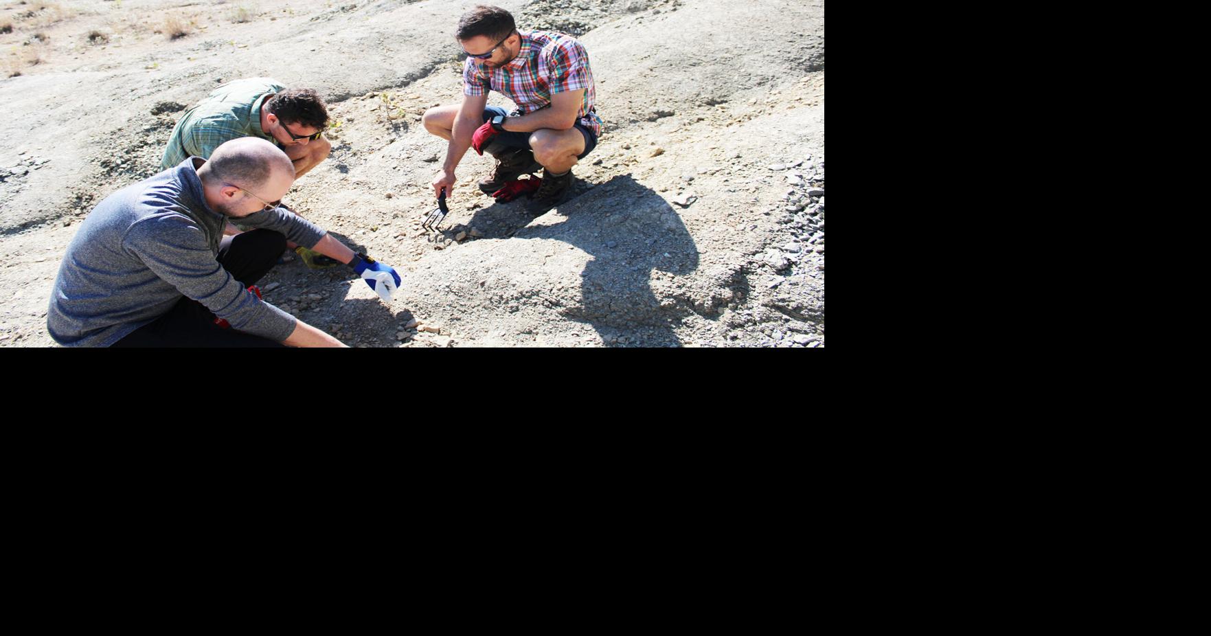 Guests ‘dig in’ at Crazy Fossil Dig | Mineral-wells ...