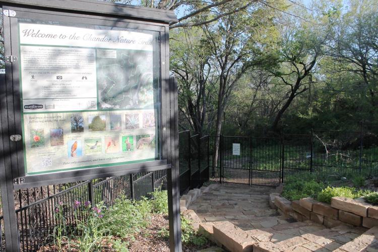 Embracing nature: Chandor trail allows native flora and fauna to ...