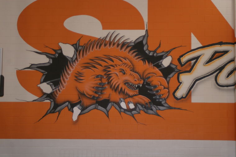 Springtown mascot is 'sharp' | Local News | weatherforddemocrat.com