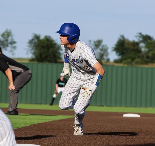 Eagles baseball completes trio of WD teams at state | Sports ...