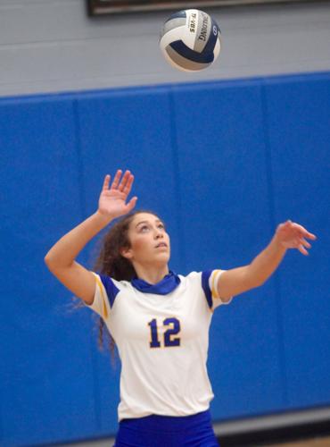 Volleyball Roundup | Sports | weatherforddemocrat.com