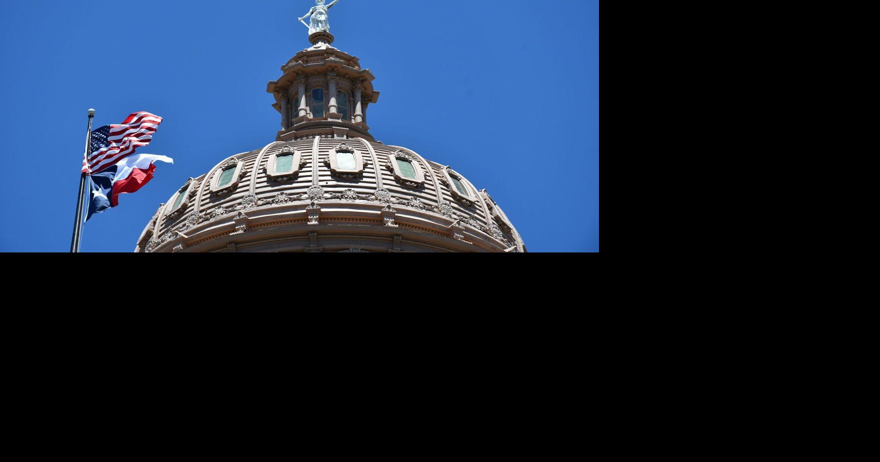 Texas’ DOGE committee takes inspiration from Elon Musk’s federal ...