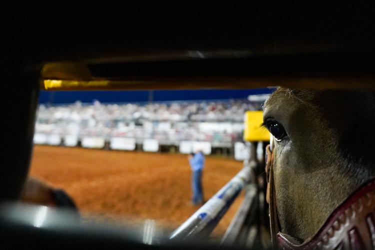 PHOTOS: 2025 PRCA Frontier Days Rodeo conclusion | Gallery ...