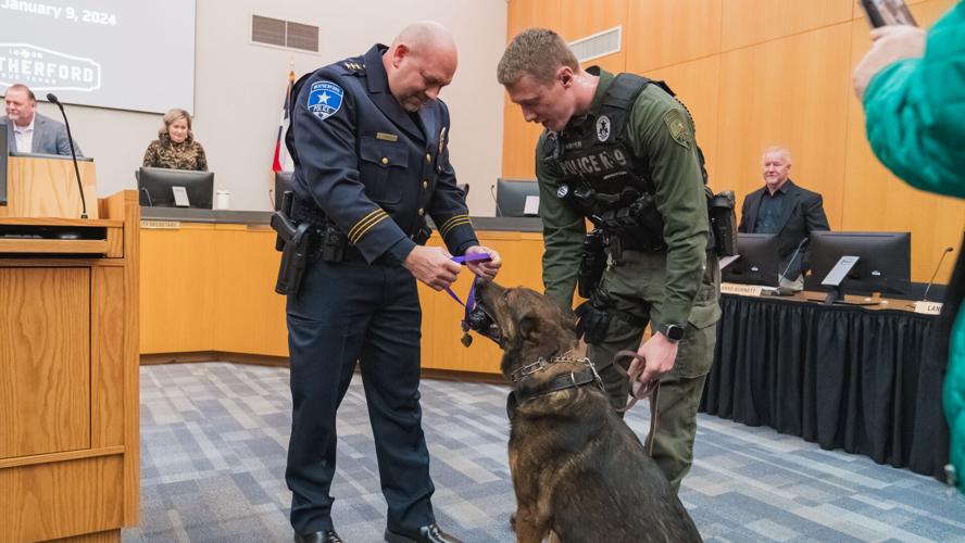 K9 Jack receives Purple Heart | News | weatherforddemocrat.com