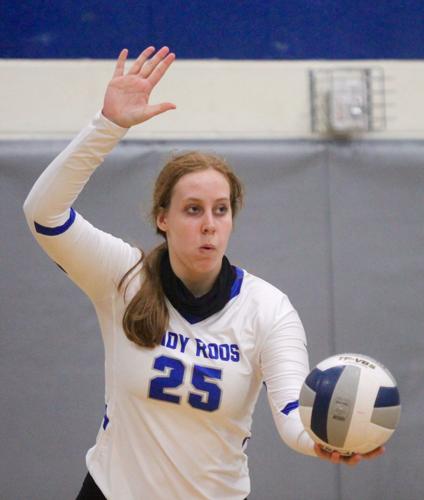 Volleyball Roundup — Nov. 11, 2020 | Sports | weatherforddemocrat.com