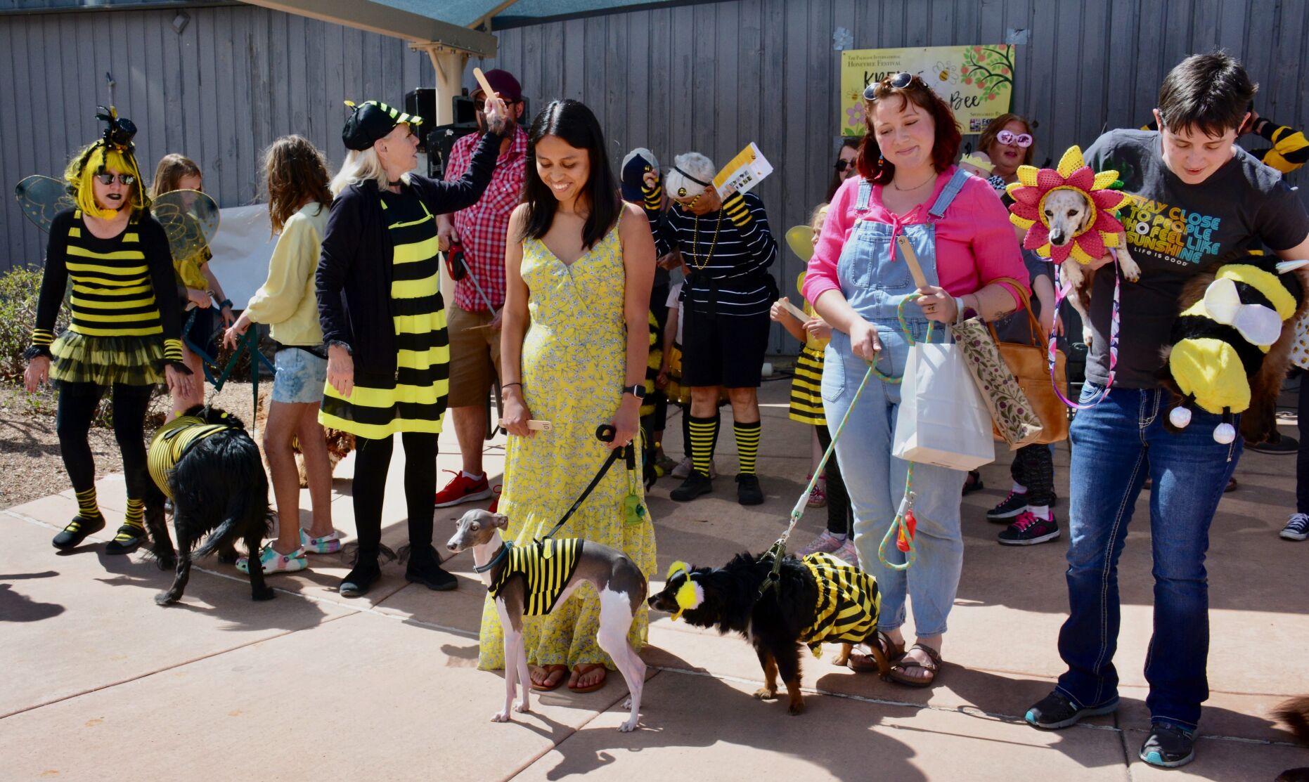 Popular Honeybee Festival Has New Name, Venue | News ...