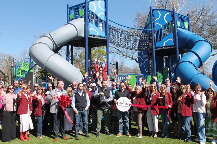 PHOTOS: 'New' Cherry Park playground opens | Gallery ...