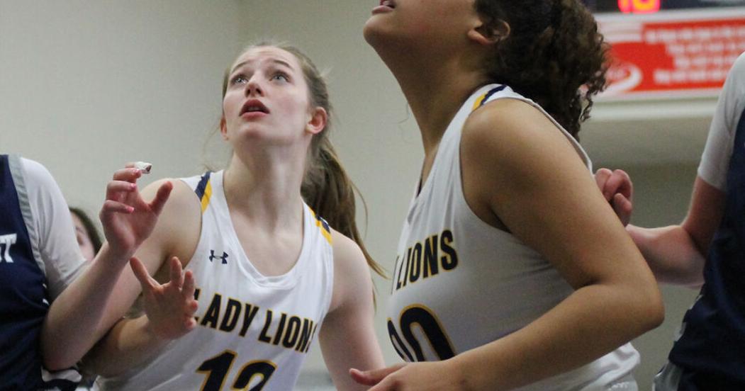 BASKETBALL PLAYOFFS: Five area boys teams still competing; WCS Lady ...