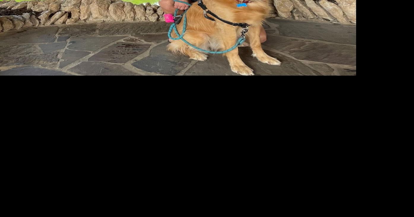 Shorter days bring more risks for walkers in Texas | News ...