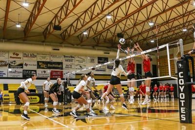 WC volleyball earns first national ranking | Sports ...