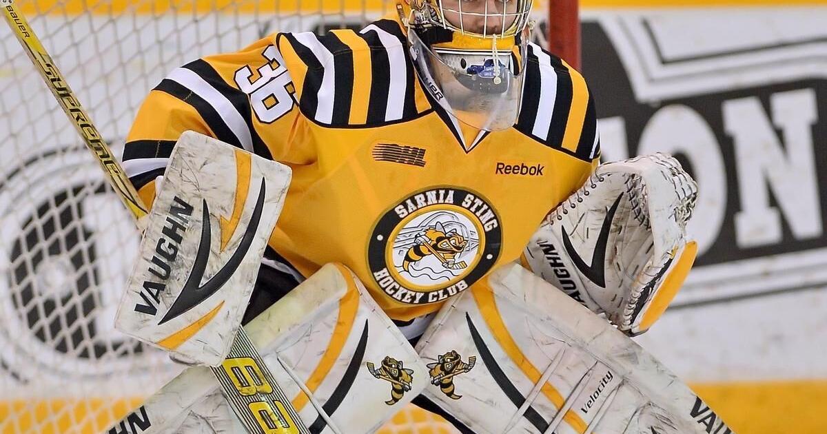 One-time OHL goalie promoting the benefits of league’s scholarship ...