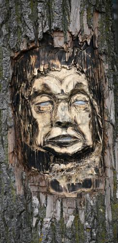 Faces carved into trees an act of vandalism: City of Welland