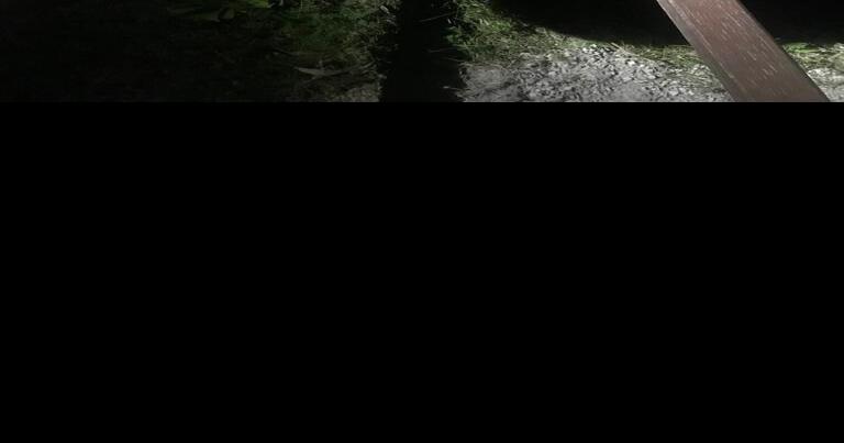 125-year-old snapping turtle found dead in ‘unexpected’ location ...