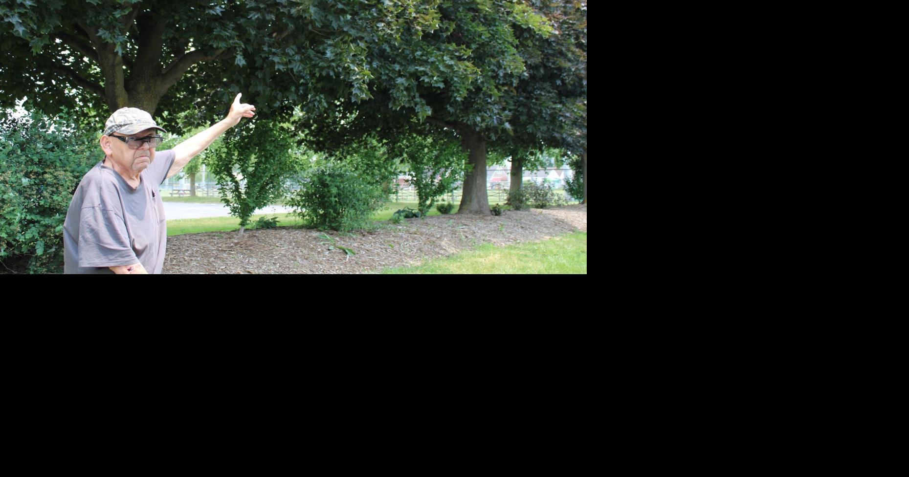 Homeowner wants City of Welland to clean up berm