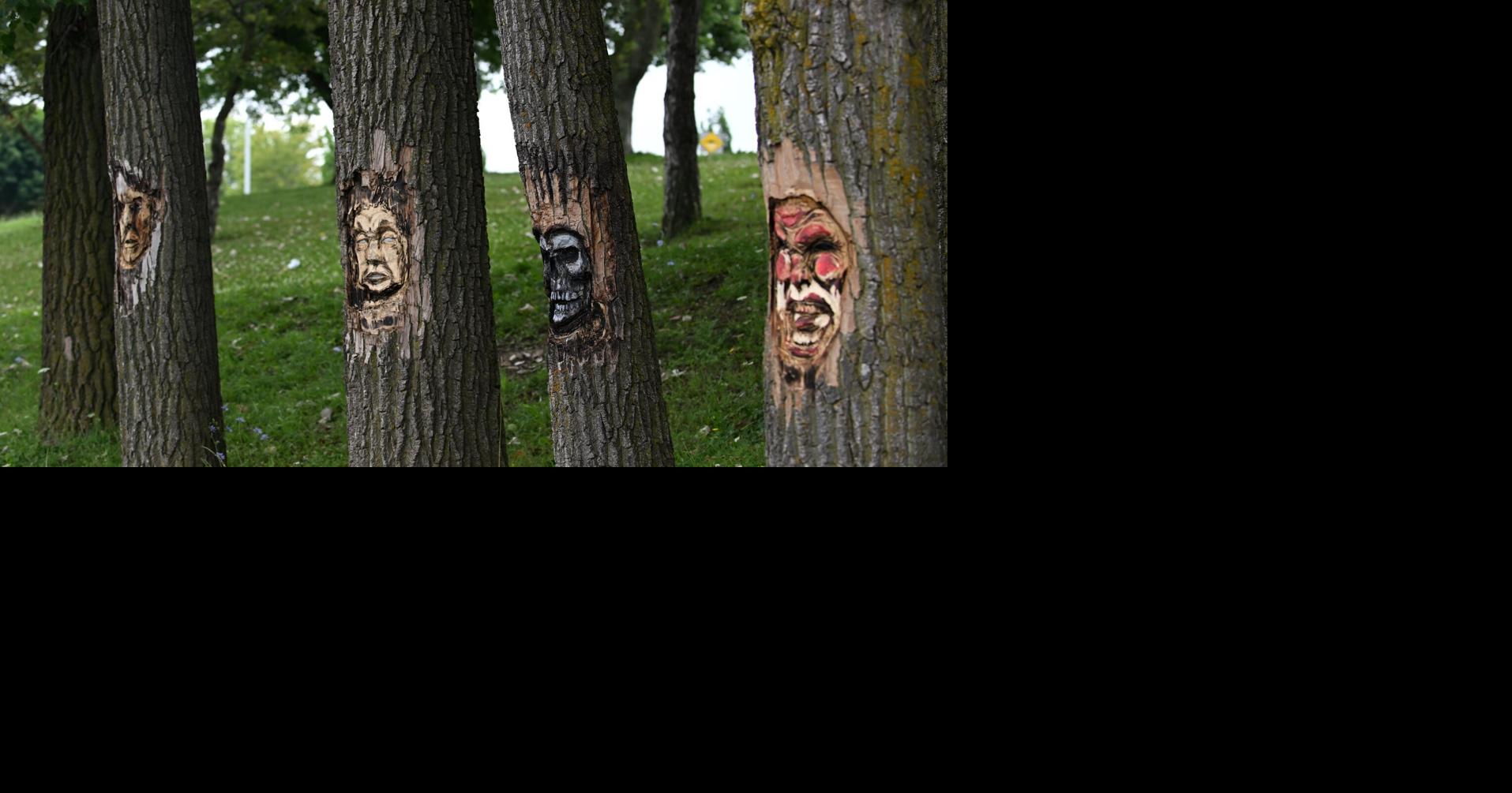 Faces carved into trees an act of vandalism: City of Welland