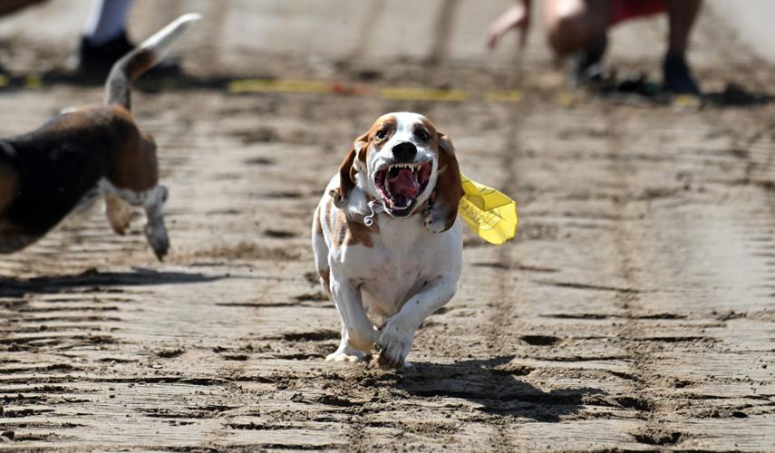 Johnson: 24 photos of 2024