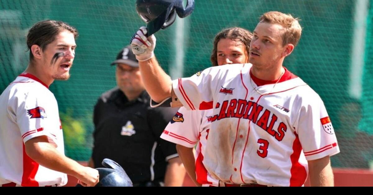 Welland Jackfish wins batter of the year honours in German elite league