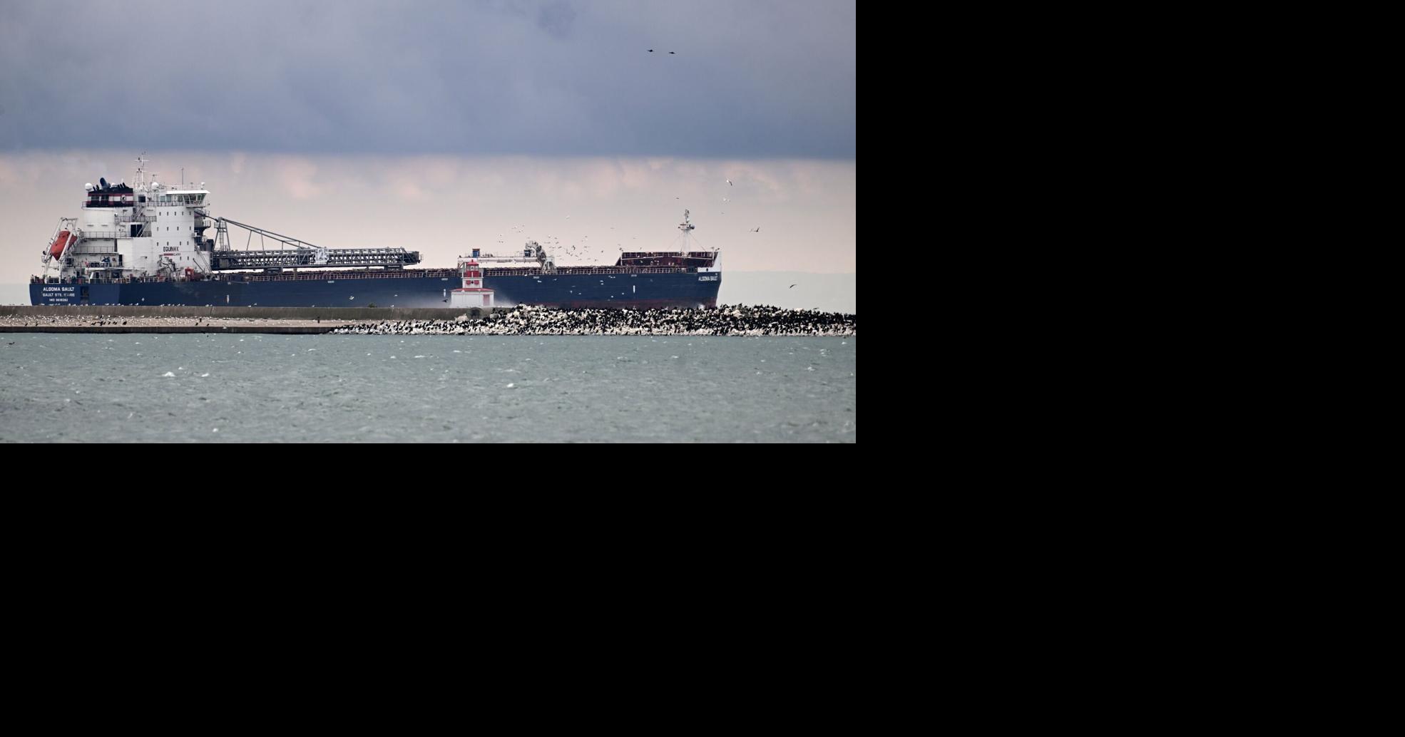 Grain and potash shipments lead cargo on seaway