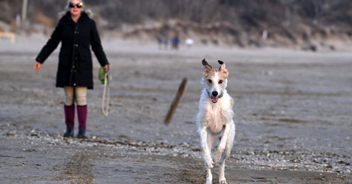 Photos: Fun day at the beach for Mr. Snuffles
