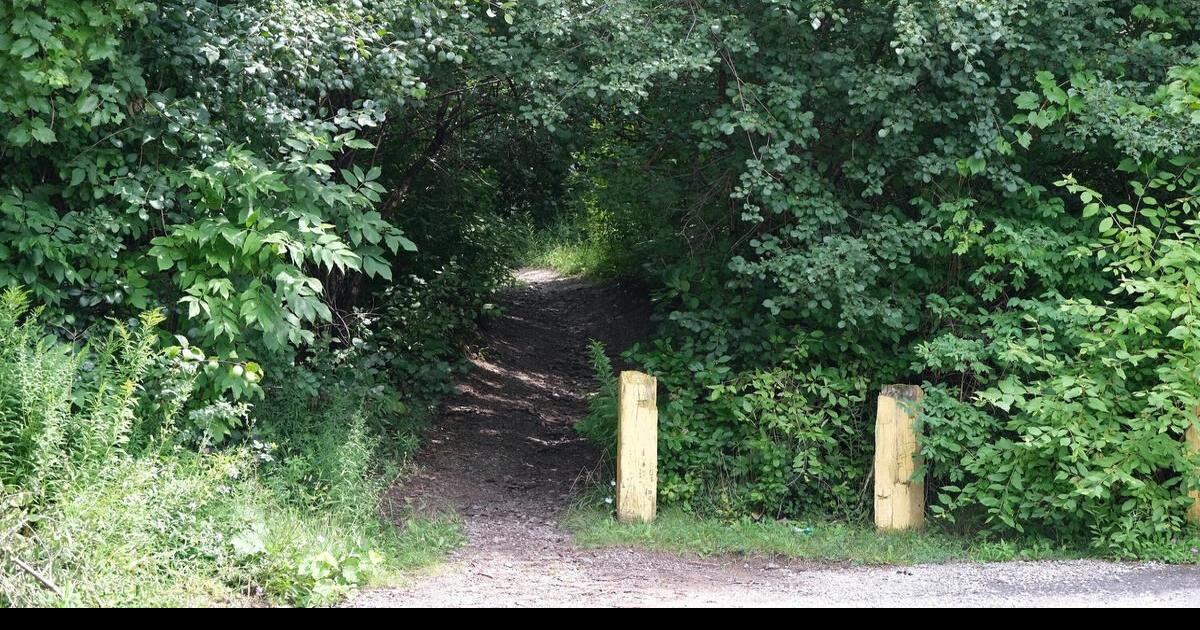Trail system proposed for north Welland