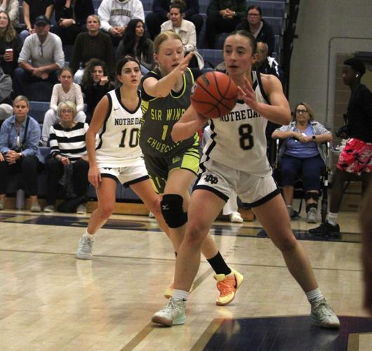 Notre Dame, Lakeshore take titles at Welland girls tourney