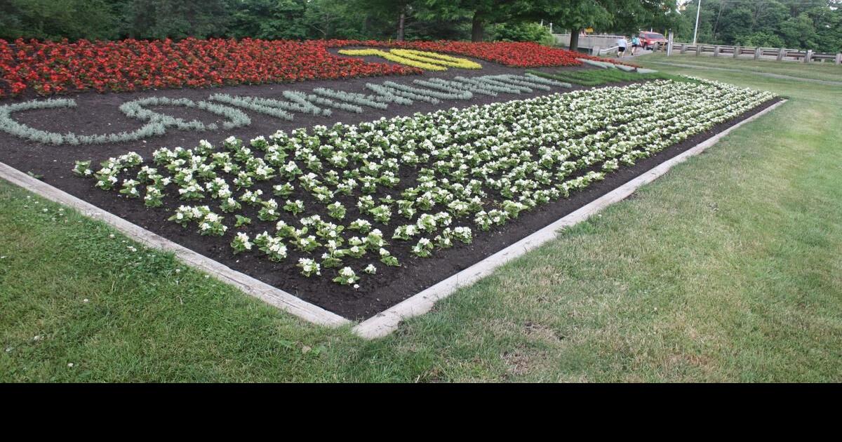 City’s flower bed tradition ‘extremely important to Welland’s identity’