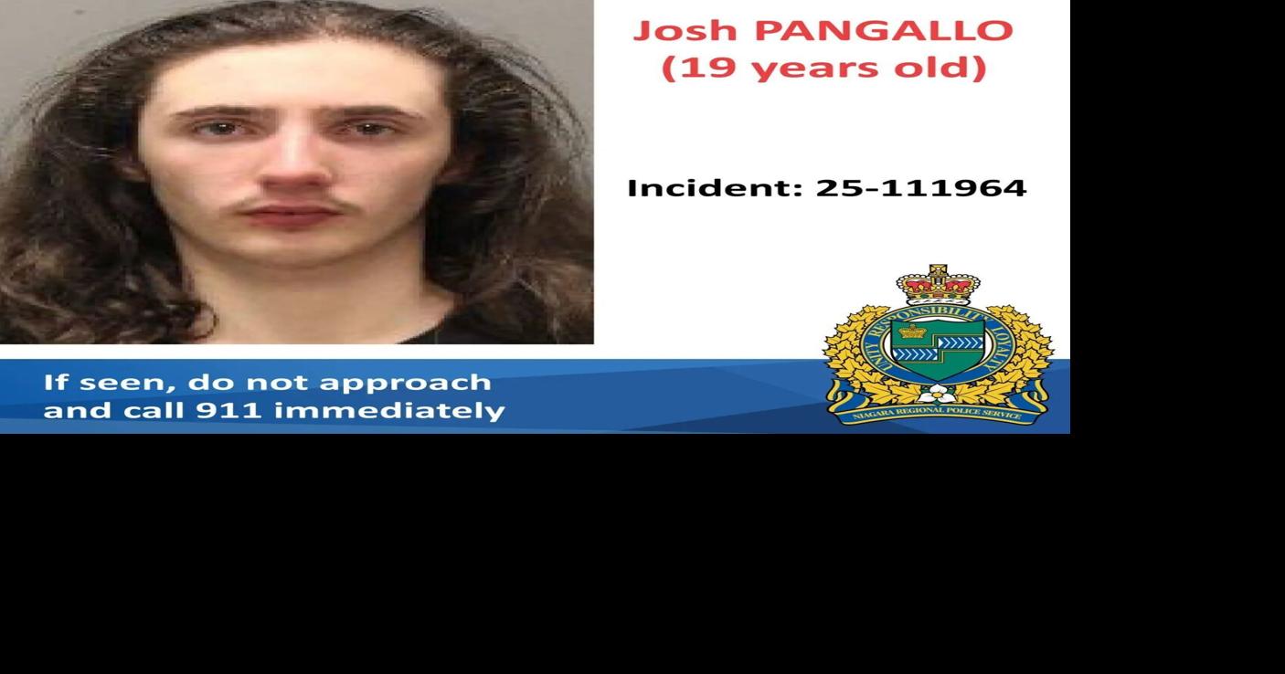 Man accused of using car to chase people in St. Catharines